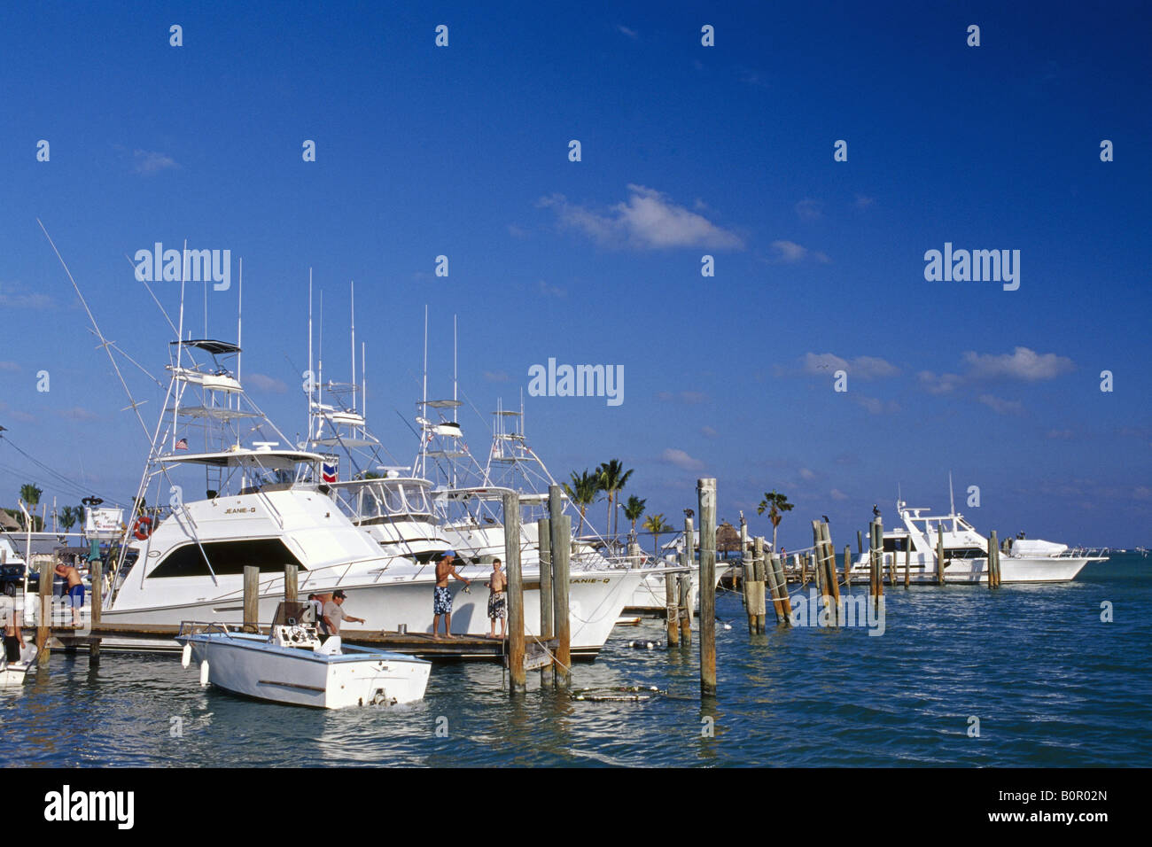 Whale Harbour Islamorada Key Florida Keys Florida USA Stock Photo - Alamy