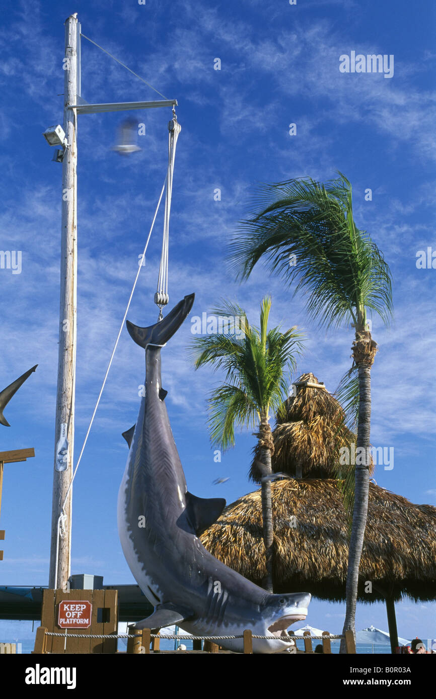 Holiday Isle Resort Islamorada Key Florida Keys Florida USA Stock Photo ...