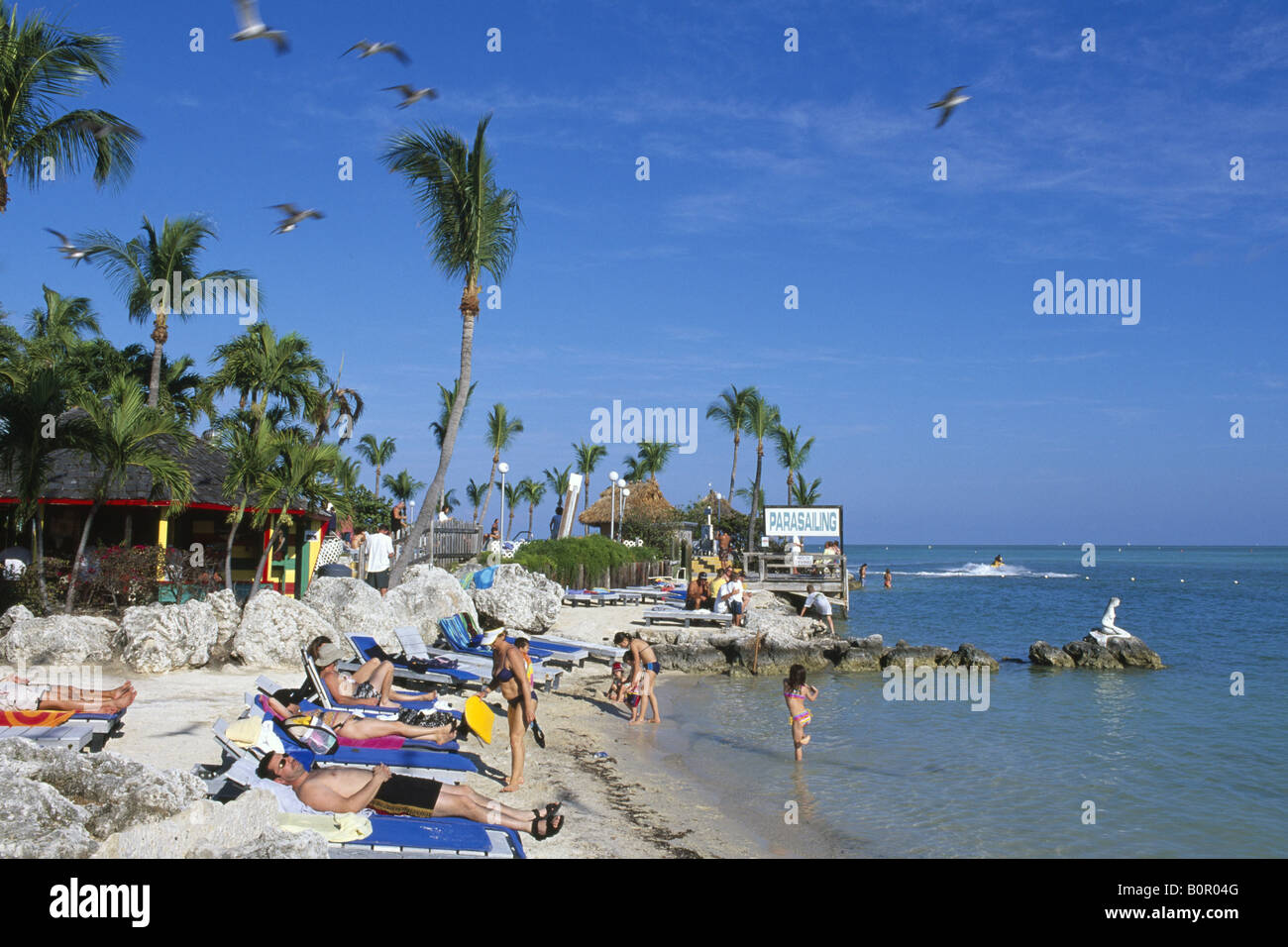 Holiday Isle Resort Islamorada Key Florida Keys Florida USA Stock Photo ...