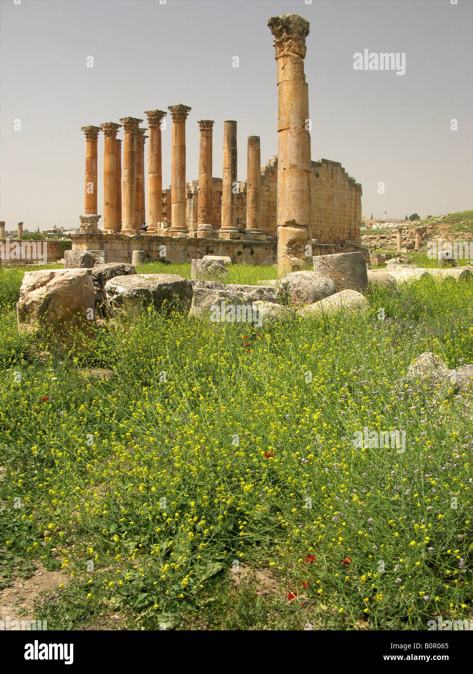 Roman temple in the ancient town of Jerash in northern Jordan, Jordan ...