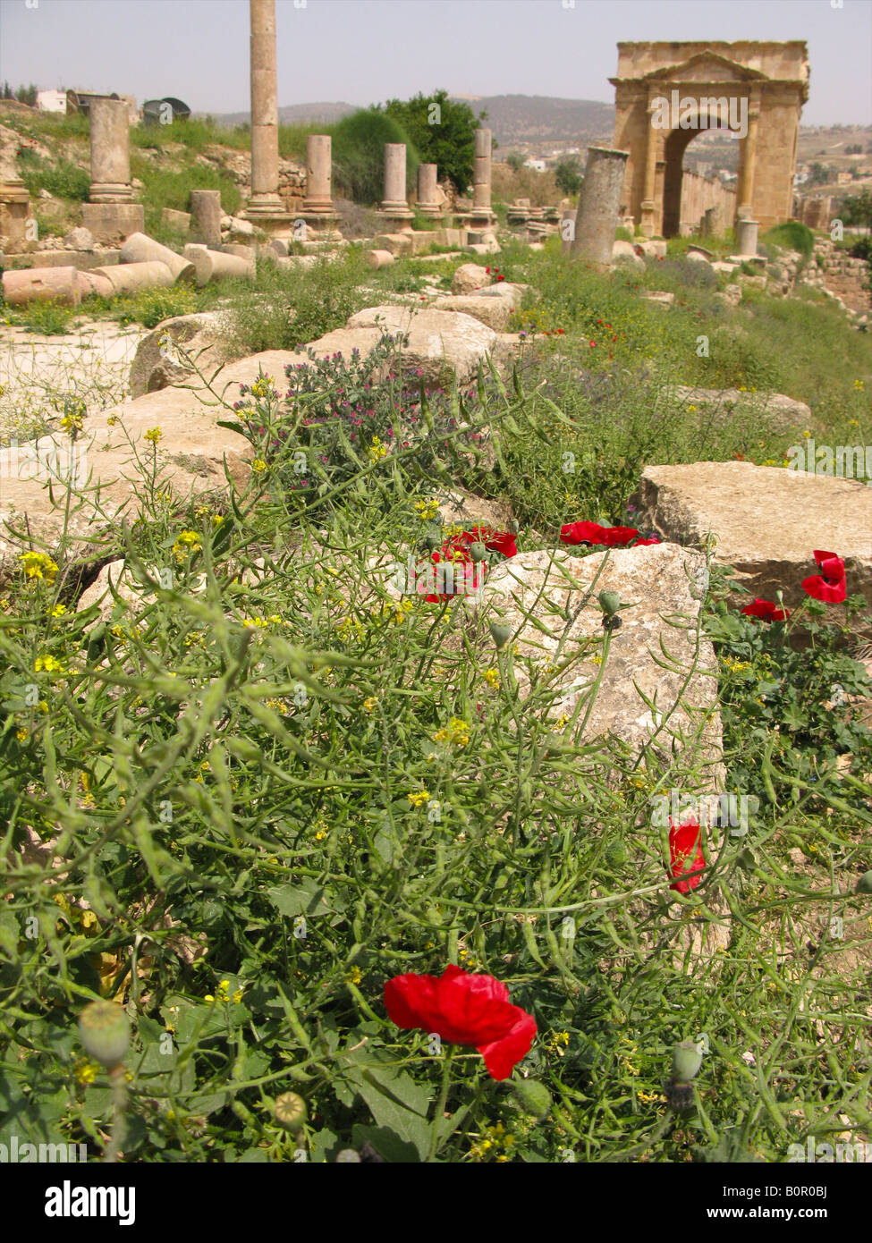 Roman ruins in the ancient town of Jerash in northern Jordan, Jordan ...