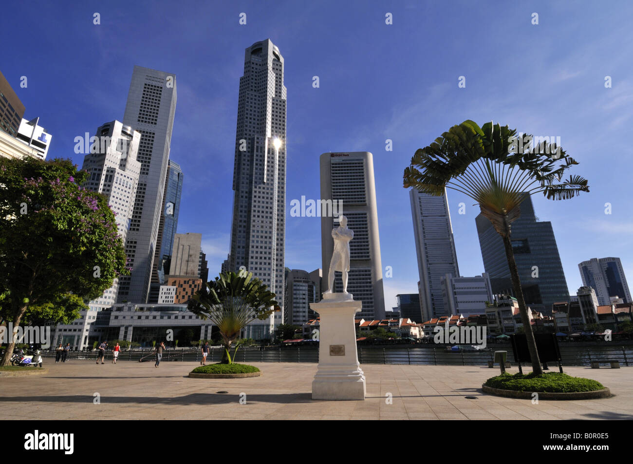 Raffles palm hi-res stock photography and images - Alamy