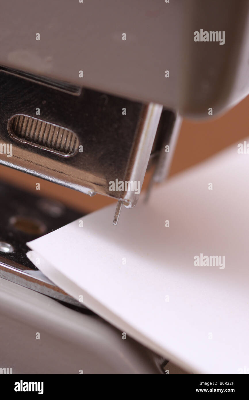 A stapler ready to staple the papers together Stock Photo - Alamy