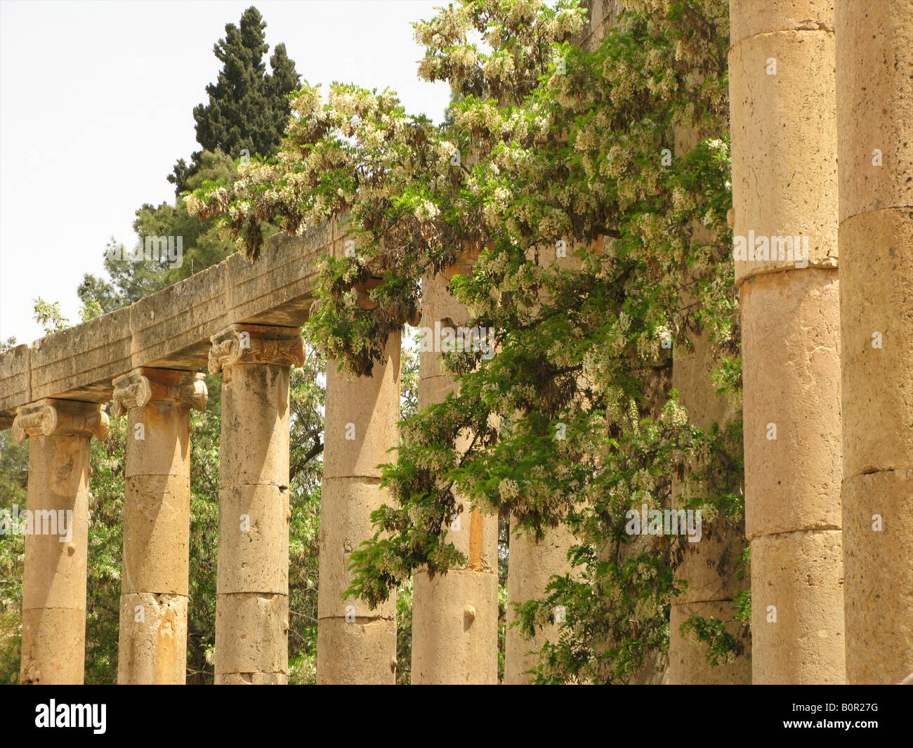 Granite corinthian columns hi-res stock photography and images - Alamy