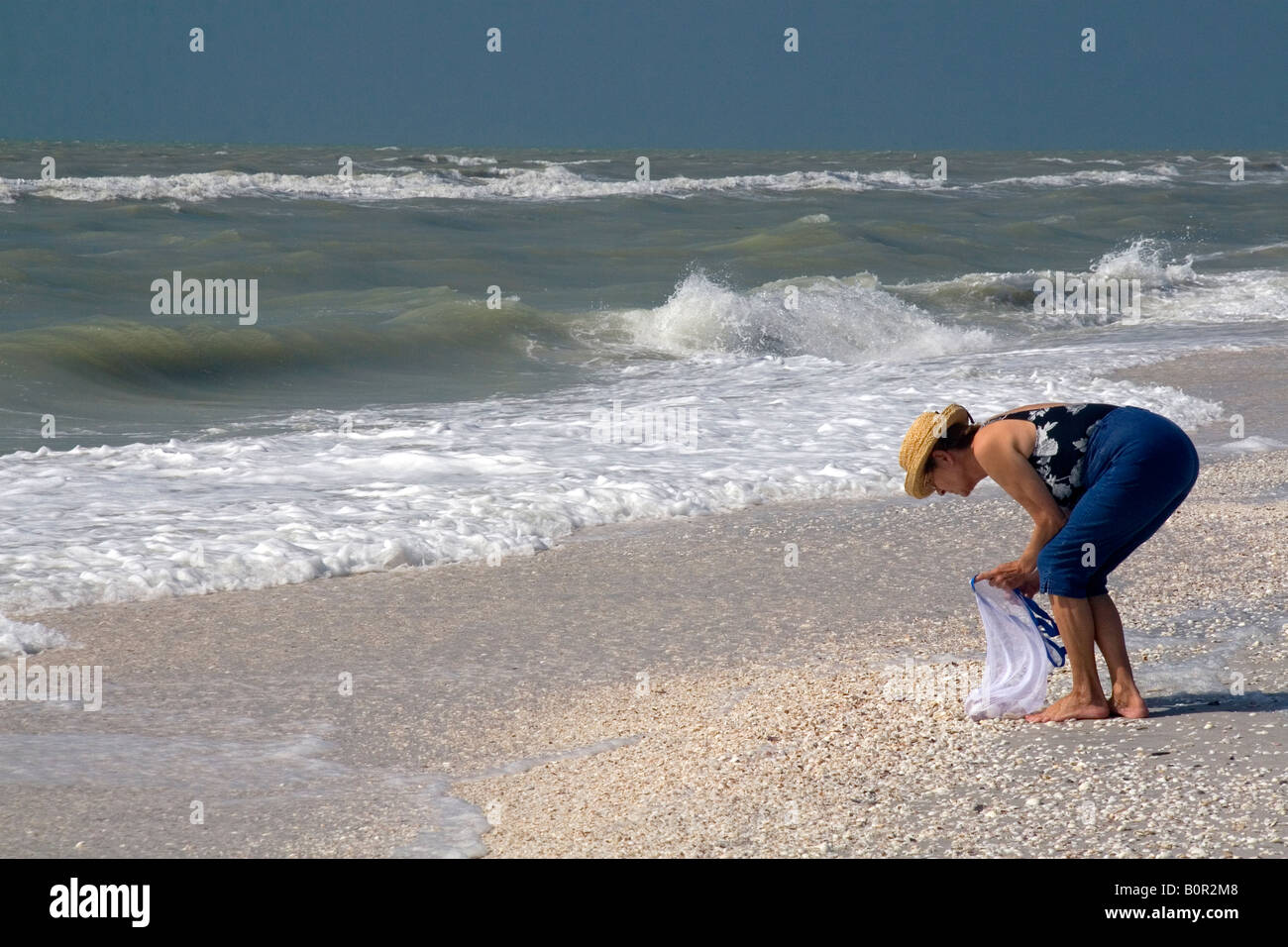 Beachcomber searching for seashells on the beach at Sanibel Island on ...