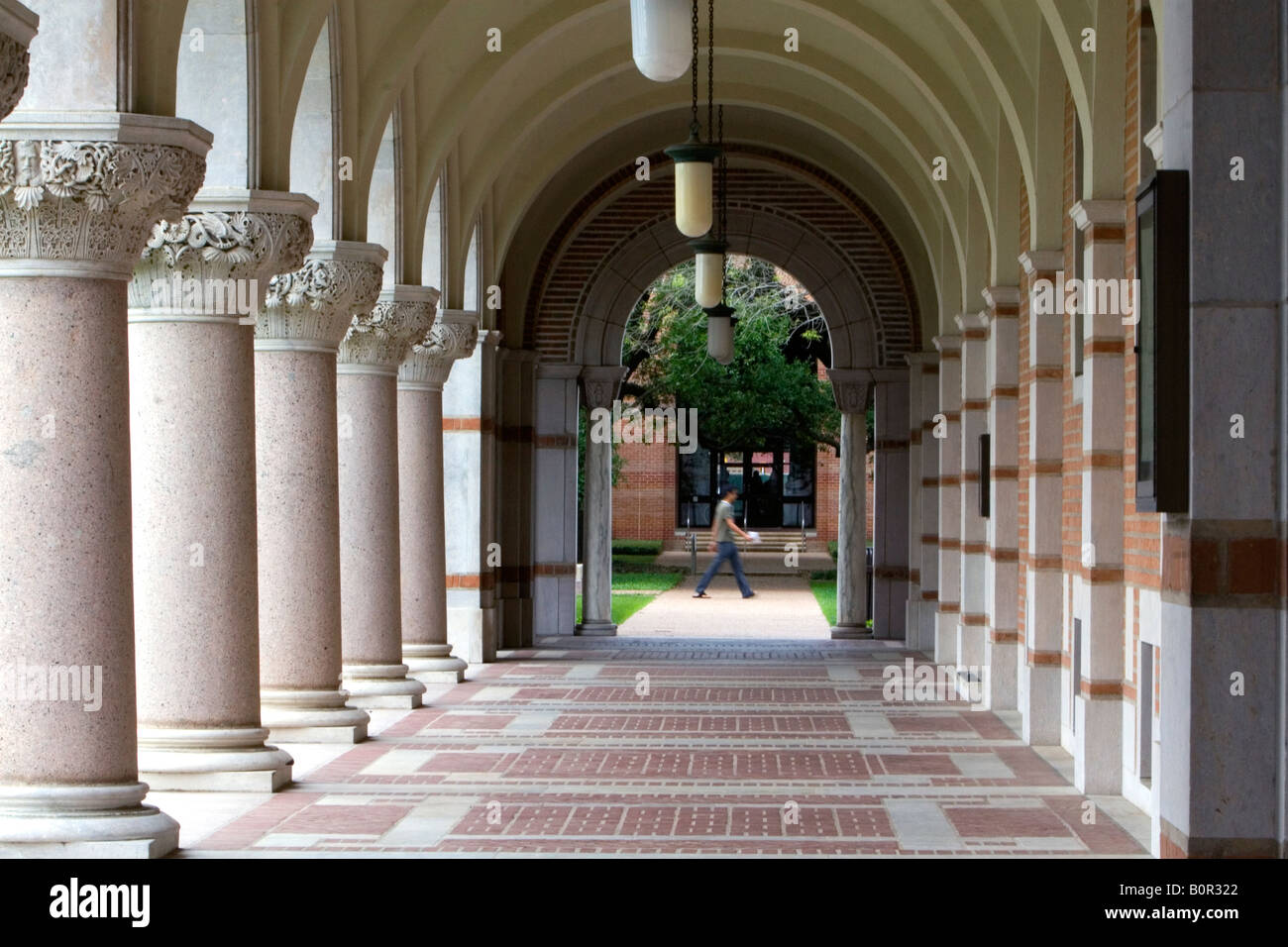 William marsh rice univeristy hi-res stock photography and images - Alamy