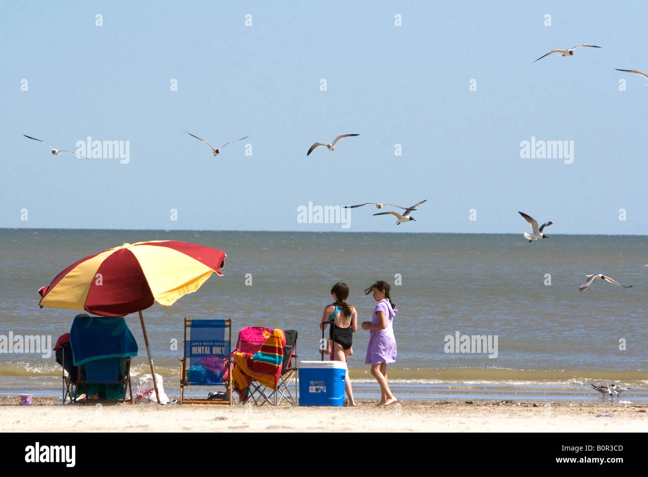 Texas Gulf Coast Beach High Resolution Stock Photography and Images - Alamy