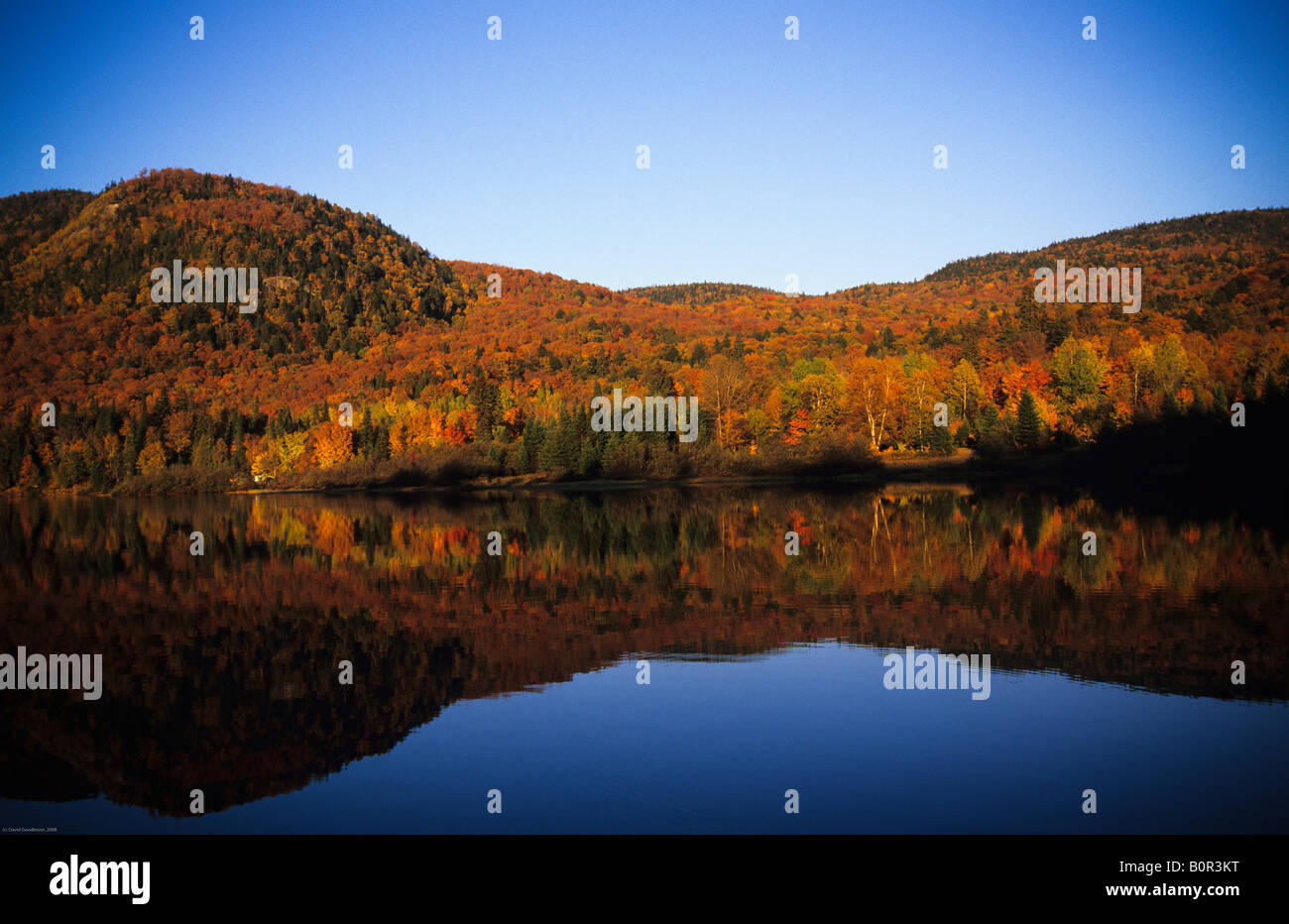Fall colors (autumn leaves) at Lac Monroe in Mont Tremblant National ...