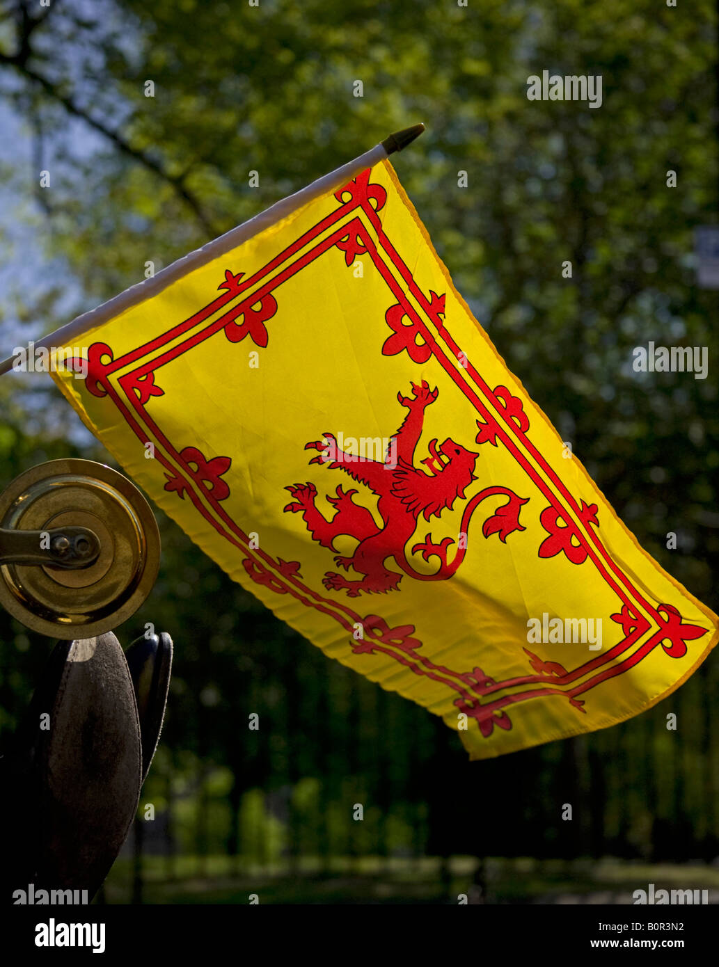 Flag of scotland hi-res stock photography and images - Alamy