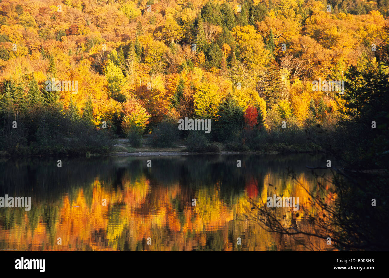 Fall colors (autumn leaves) at Lac Monroe in Mont Tremblant National ...