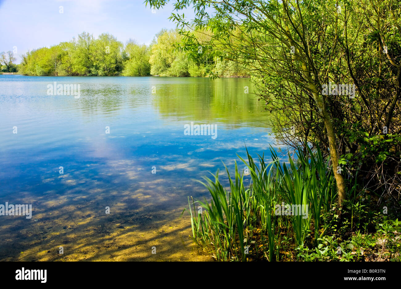 Neigh Bridge Country Park, Cotswold Water Park, Gloucestershire ...