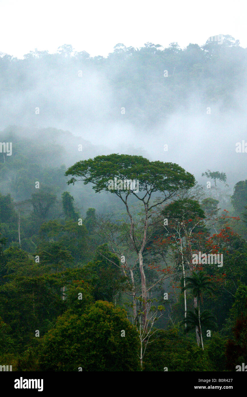 Panama landscape with misty rainforest at Cana in the Darien national ...