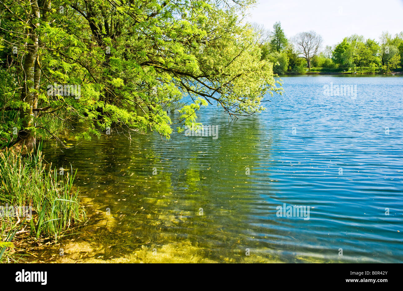 Neigh Bridge Country Park, Cotswold Water Park, Gloucestershire ...