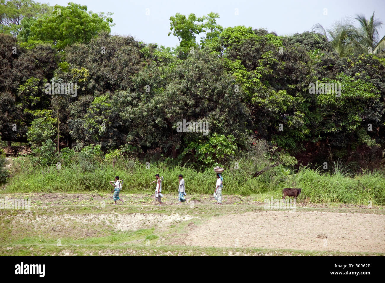 Field men hi-res stock photography and images - Alamy