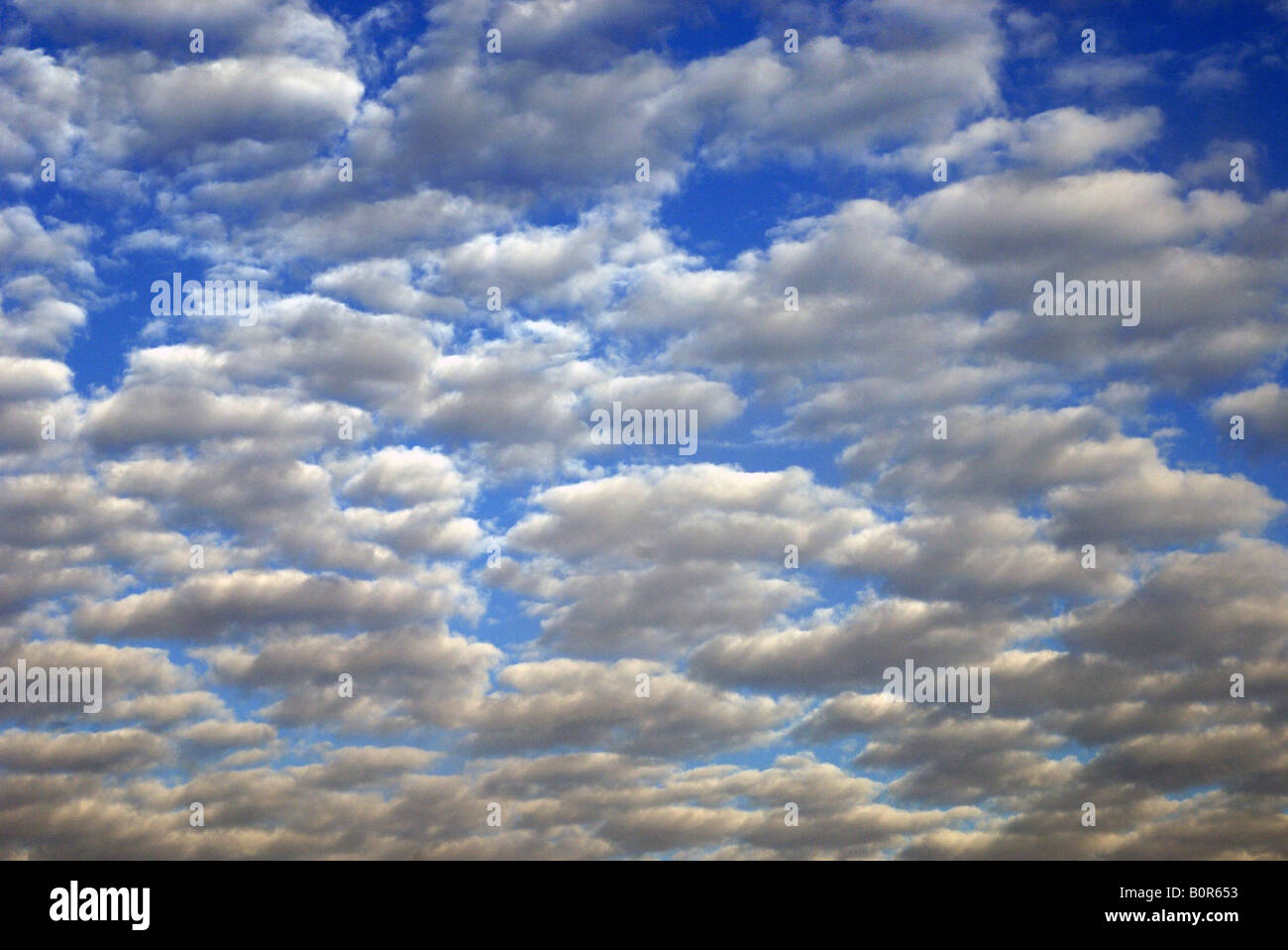 Fleecy hi-res stock photography and images - Alamy