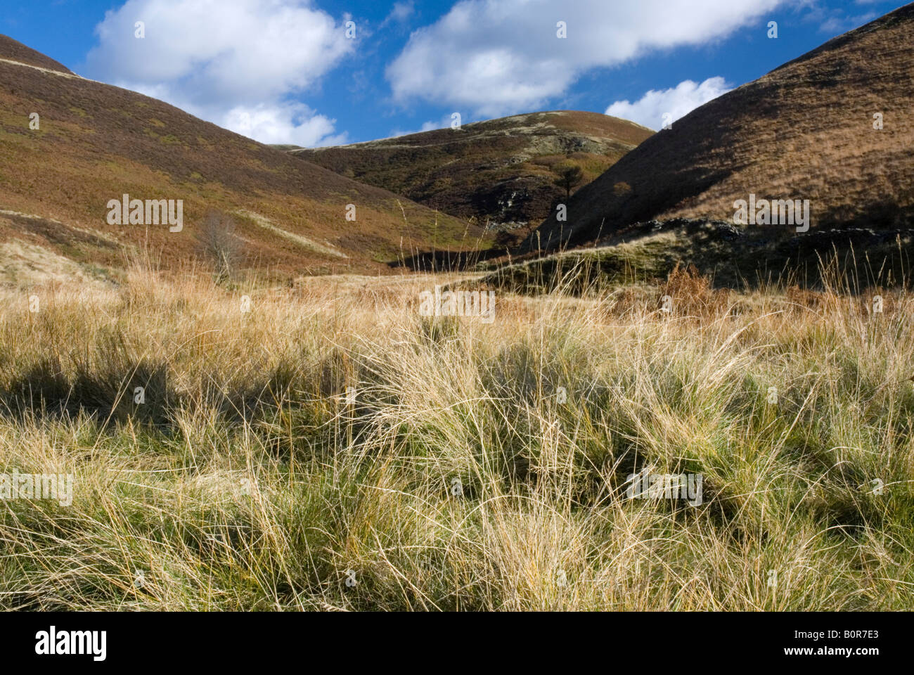 Howden Moors, The Peak District, Derbyshire, England Stock Photo - Alamy