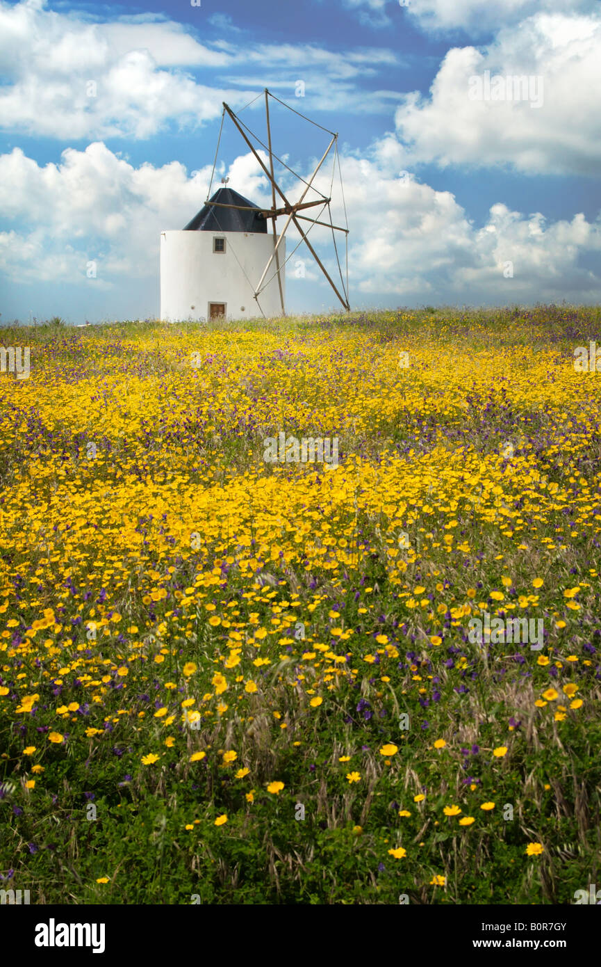 Windmill countryside flowers hi-res stock photography and images - Alamy