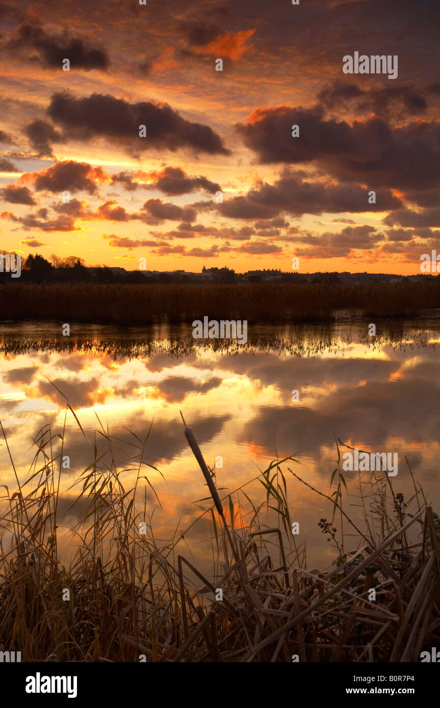Radipole lakes hi-res stock photography and images - Alamy