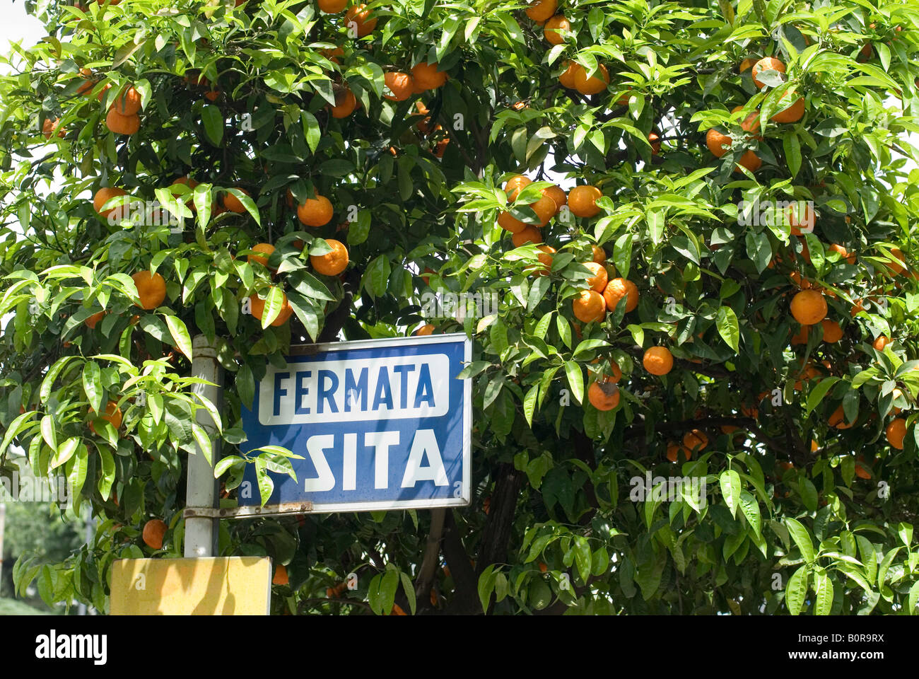 Traffic sign italy hi-res stock photography and images - Alamy