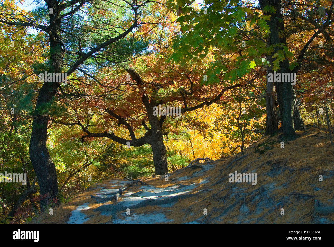 Starved rock state park autumn hi-res stock photography and images - Alamy