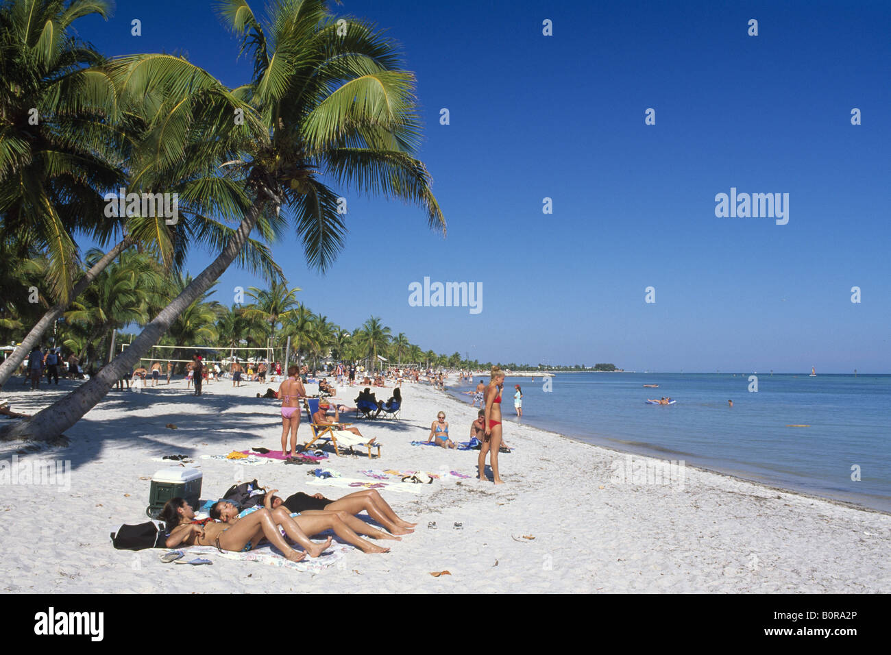 Palm trees people smathers beach hi-res stock photography and images ...