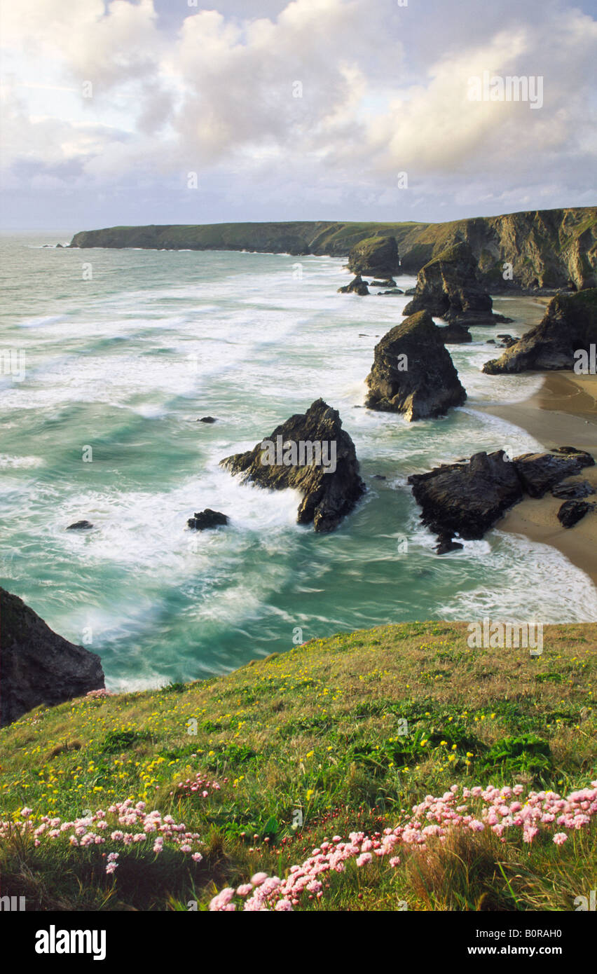 Cornwall spring steps hi-res stock photography and images - Alamy