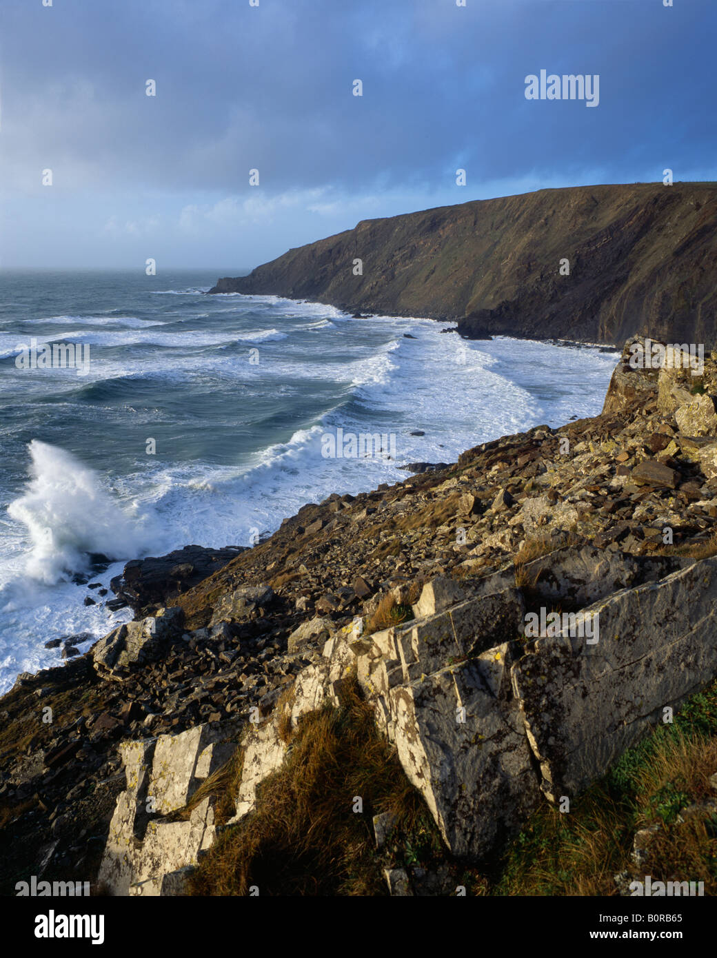 Lower sharpnose point hi-res stock photography and images - Alamy