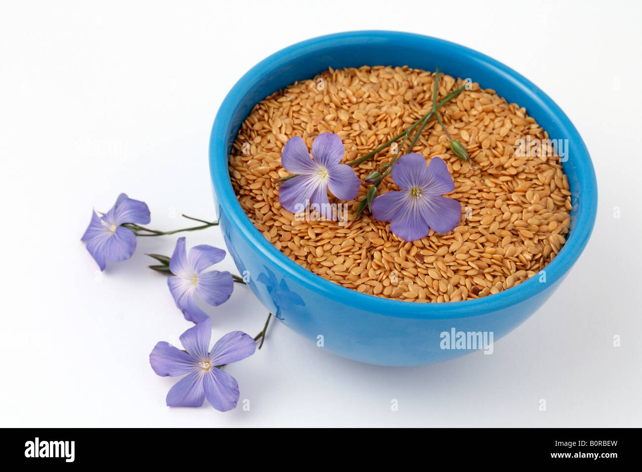Golden linseeds hi-res stock photography and images - Alamy
