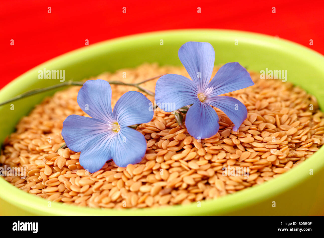 Golden linseeds hi-res stock photography and images - Alamy