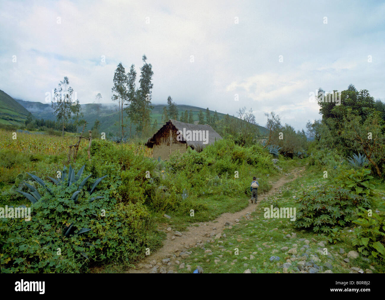 peasant cottage apurimac valley andean highland peru Stock Photo - Alamy