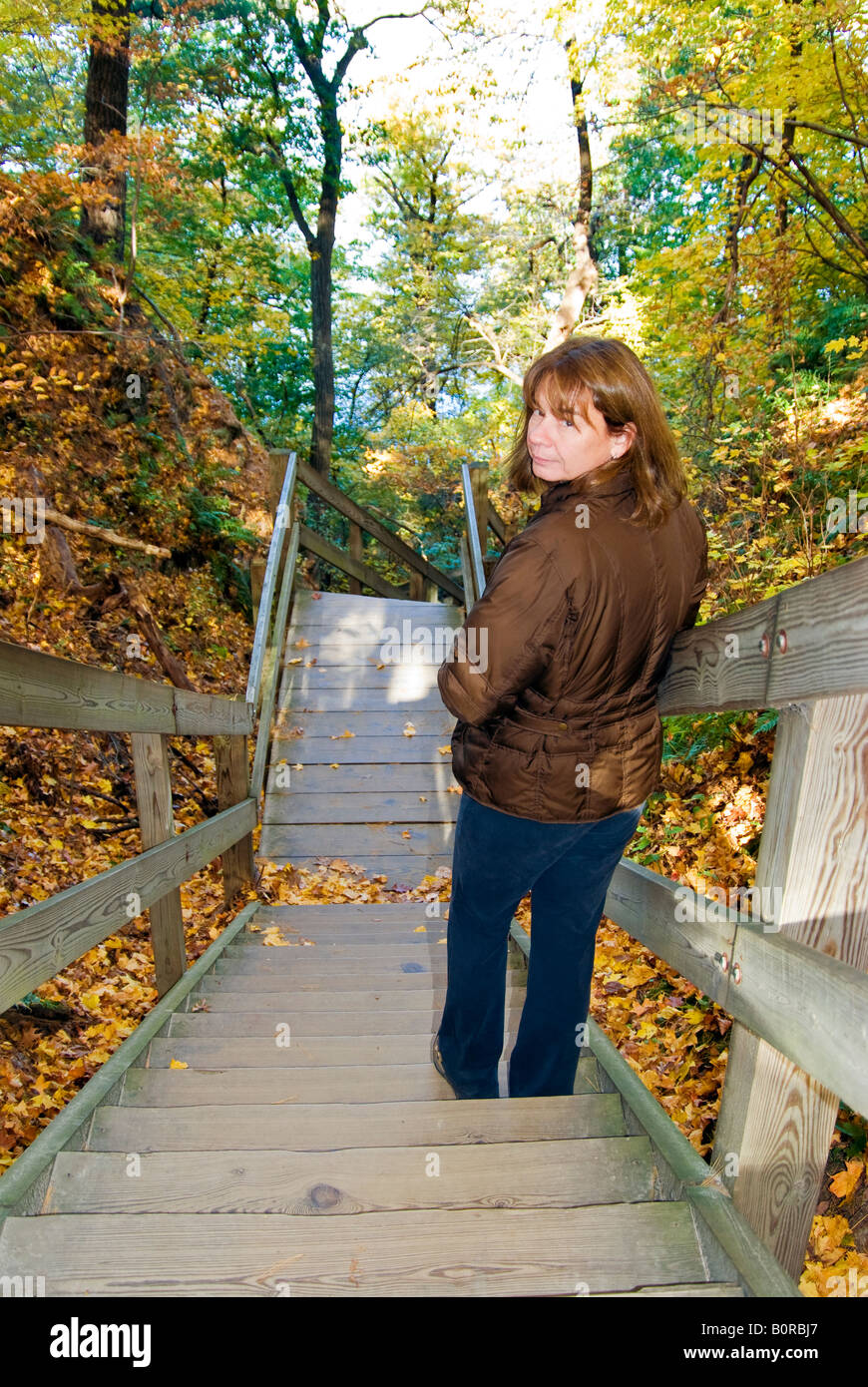 Steep forest path steps hi-res stock photography and images - Alamy