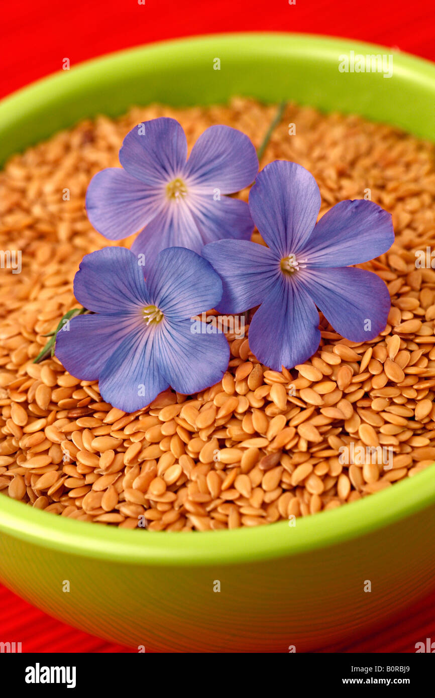 Golden linseeds hi-res stock photography and images - Alamy