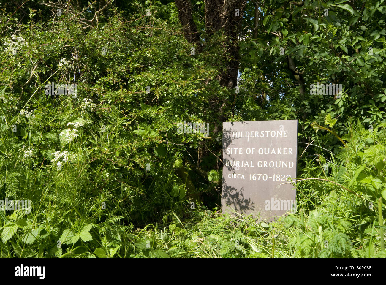 Hilderstone hi-res stock photography and images - Alamy