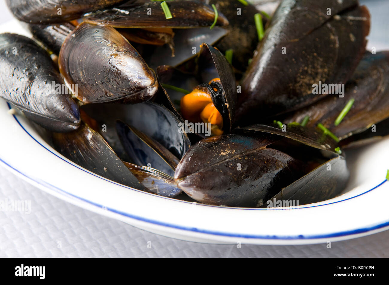 bowl of mussels, provence, france Stock Photo - Alamy