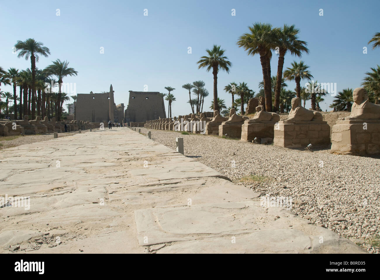 Dromos in the Luxor Temple Egypt Stock Photo - Alamy