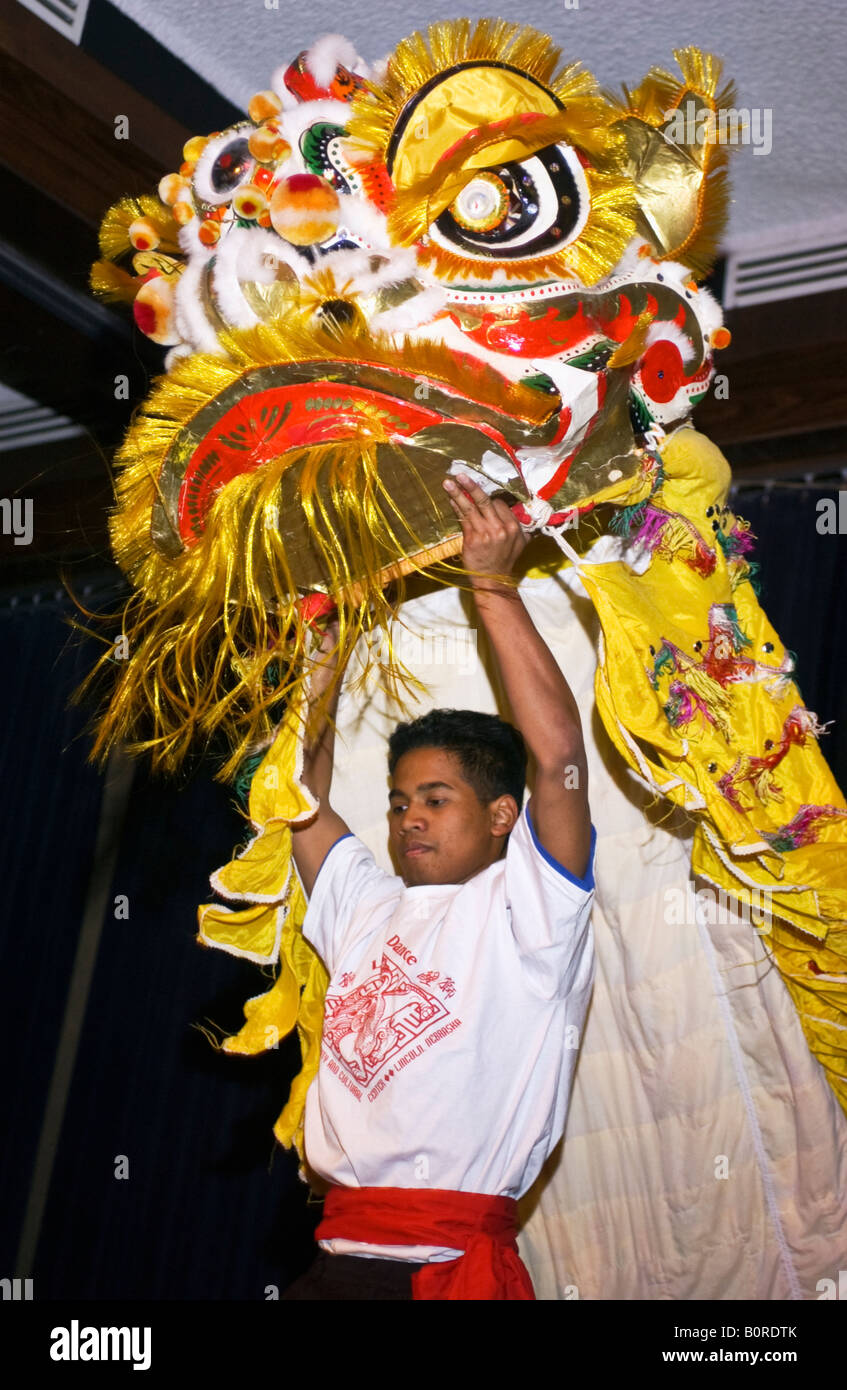 Real Chinese Dragon Costume