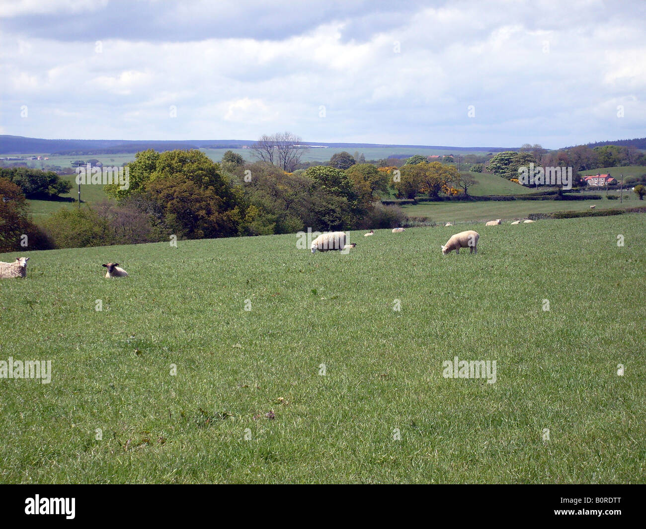 England farming scenery hi-res stock photography and images - Alamy