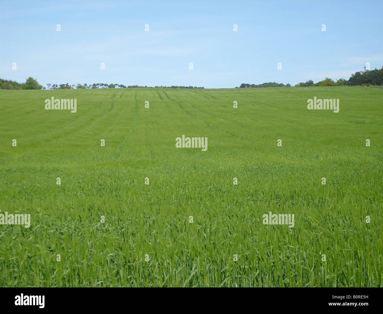 Green field in countryside, North Yorkshire Moor National Park, England ...