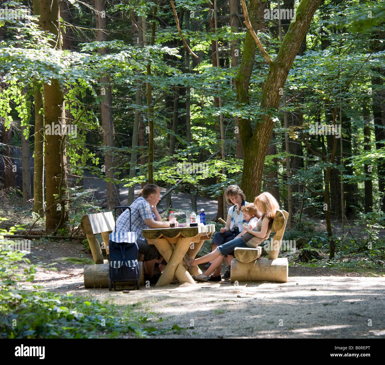 Family in forest on picnic hi-res stock photography and images - Alamy