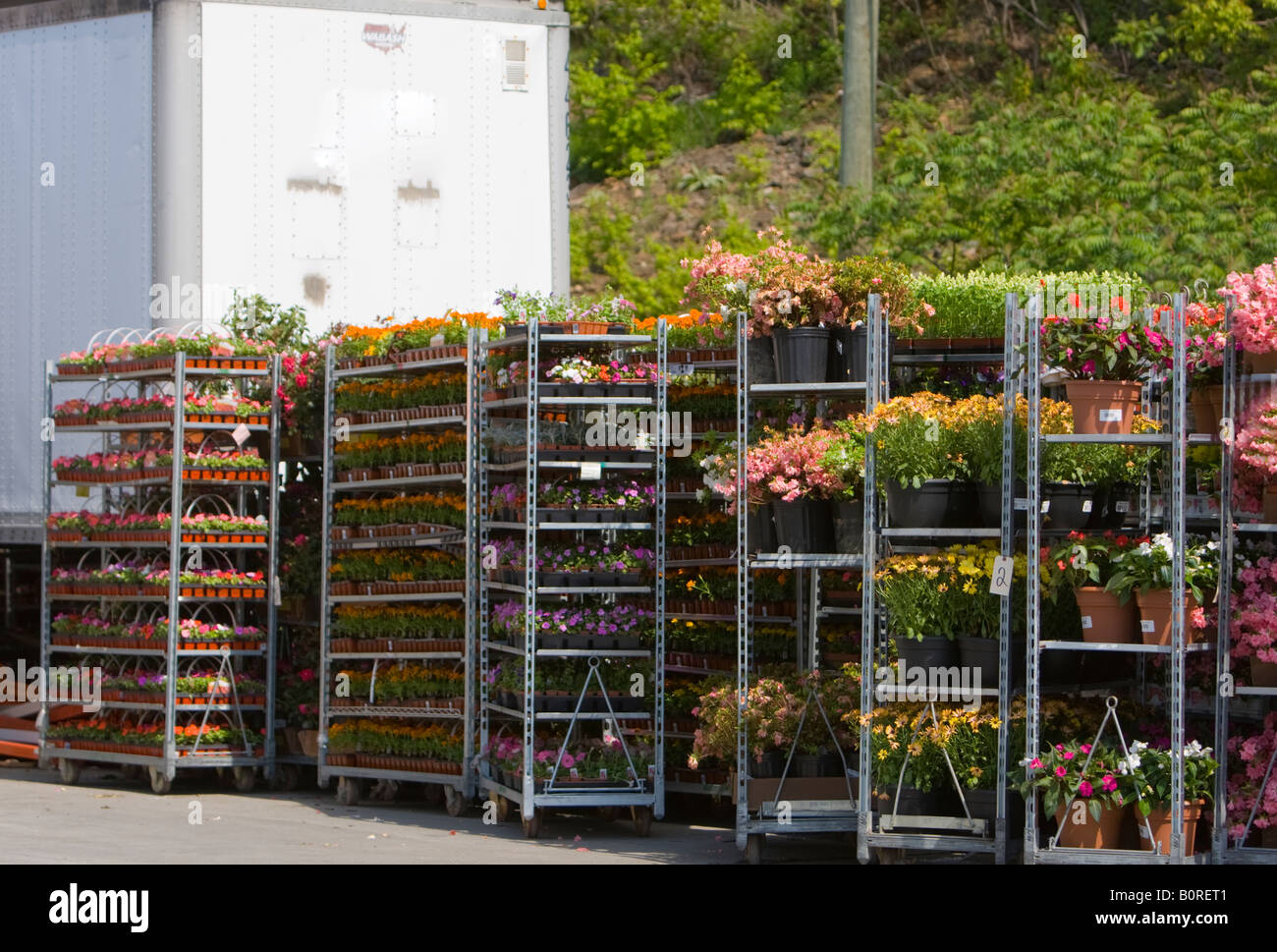 Truckload of plants at a nursery Stock Photo - Alamy