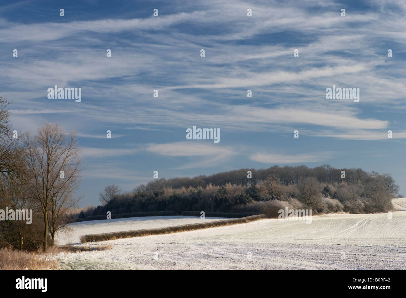 Wintry White Landscape, Creaton, Northamptonshire, England, UK Stock ...