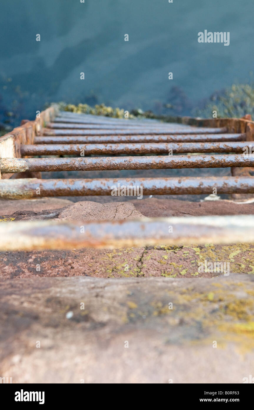 Iron ladder at the harbour in North Berwick, Scotland Stock Photo - Alamy
