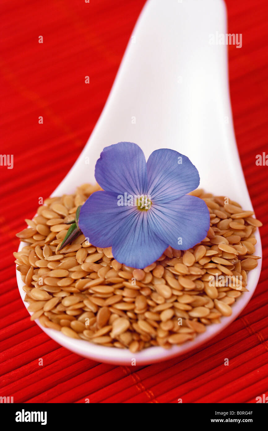 Golden linseeds hi-res stock photography and images - Alamy