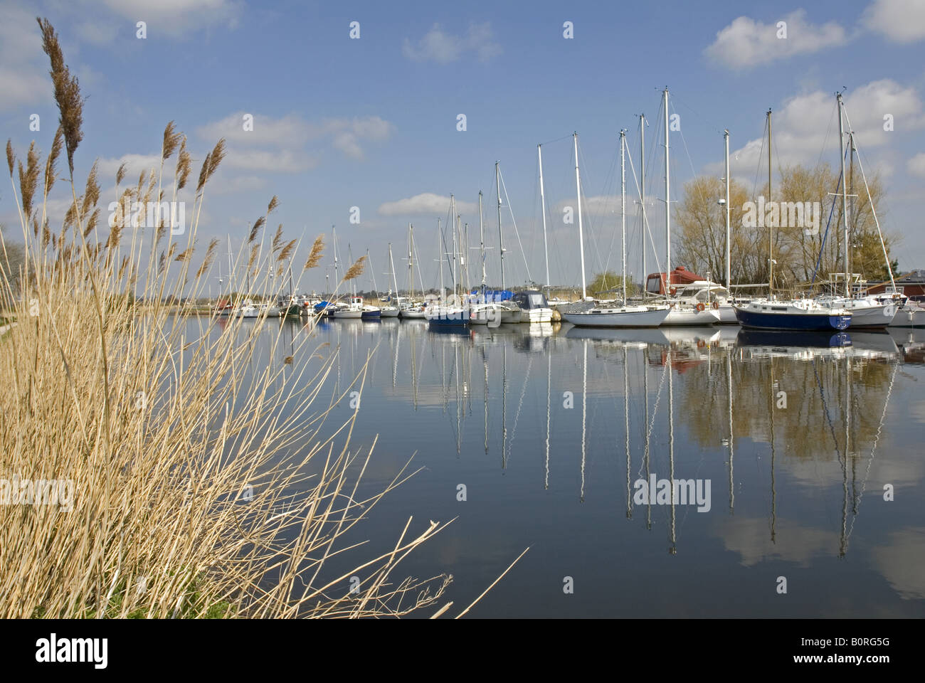 Tranquil scene on the Exeter Canal by the Turf Locks Stock Photo - Alamy