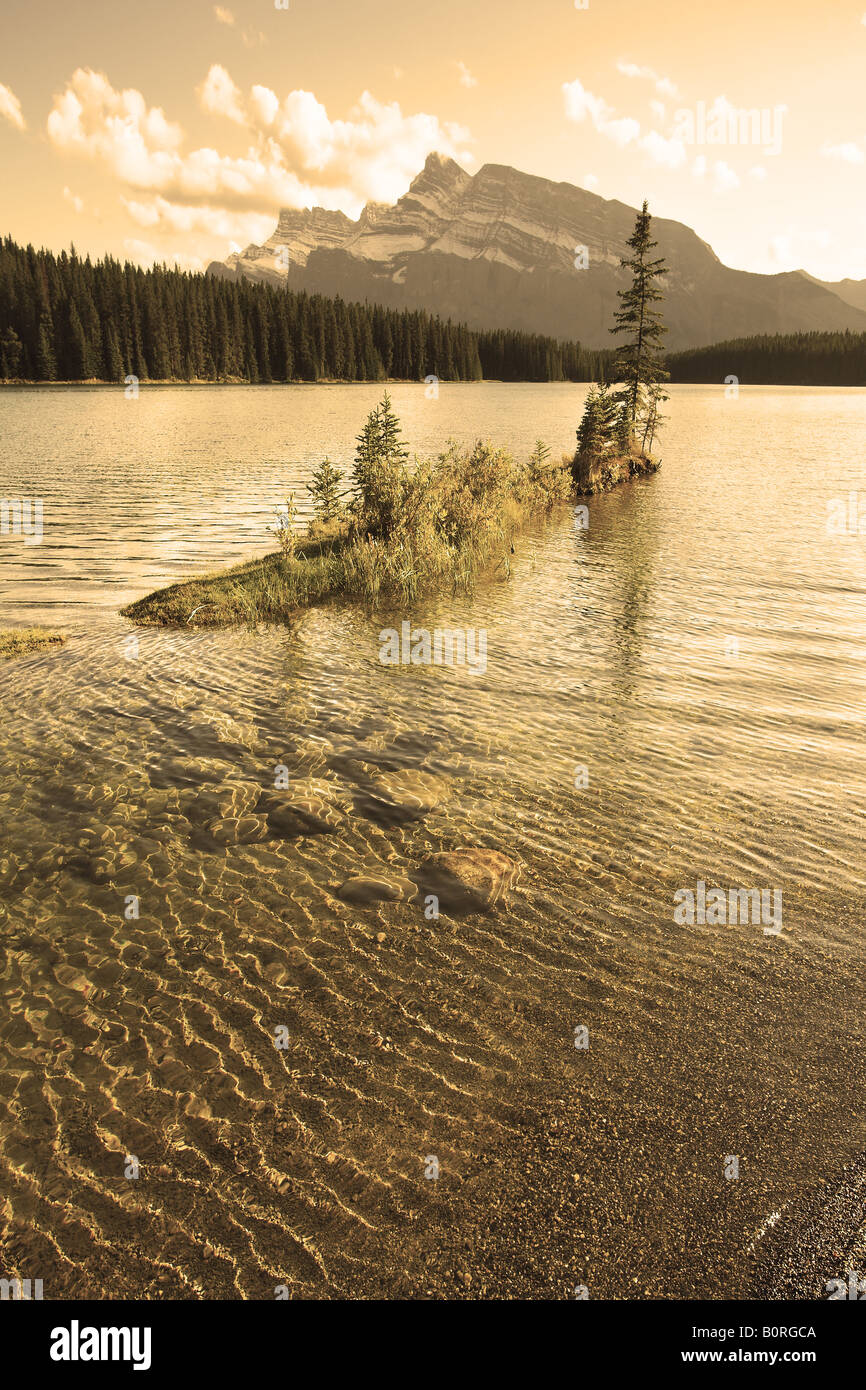A small tree growing on a shallow of mountain lake in Canada Stock ...