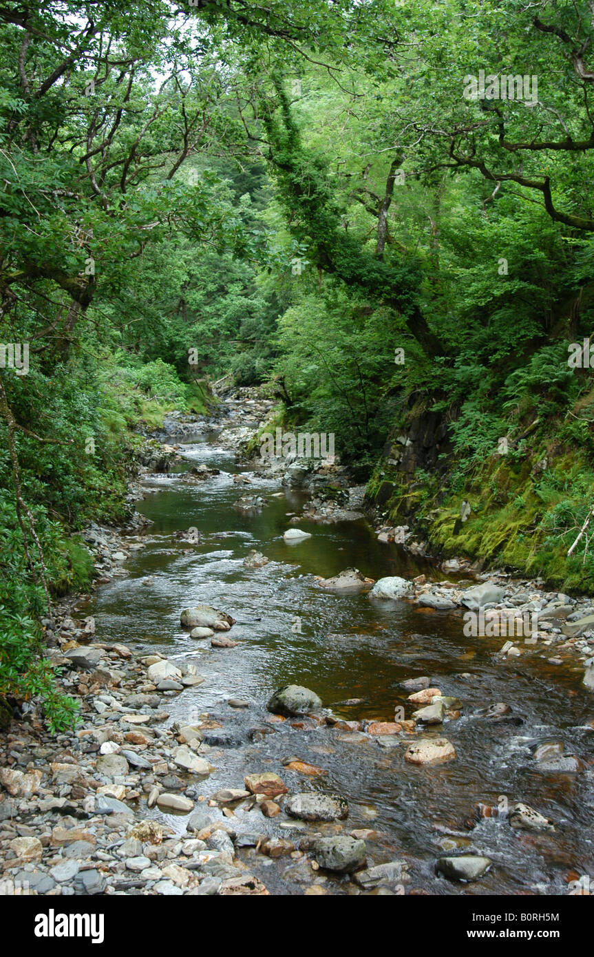 A Welsh Stream, Dolgellau Stock Photo - Alamy