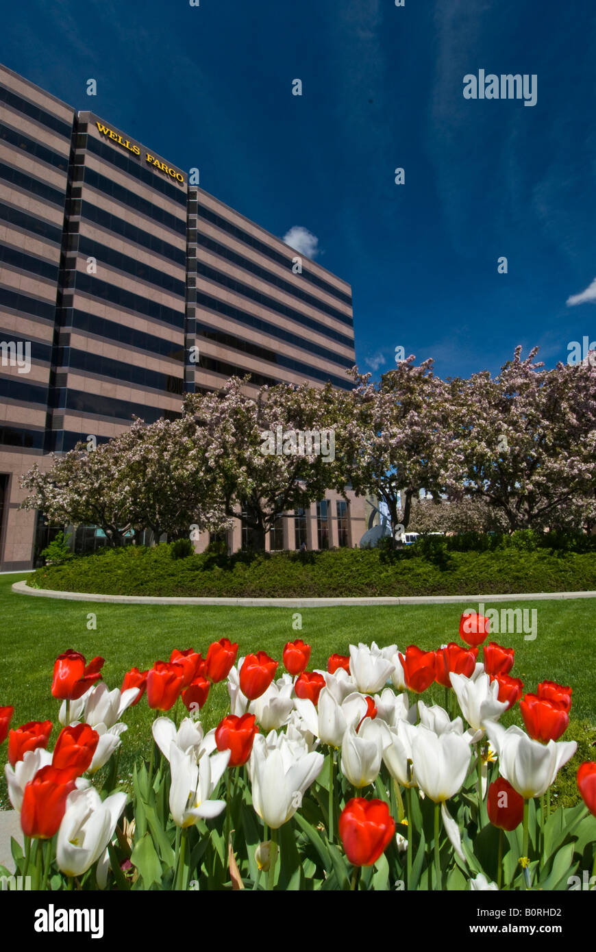 Idaho Boise Flowers explode in spring time downtown Stock Photo - Alamy