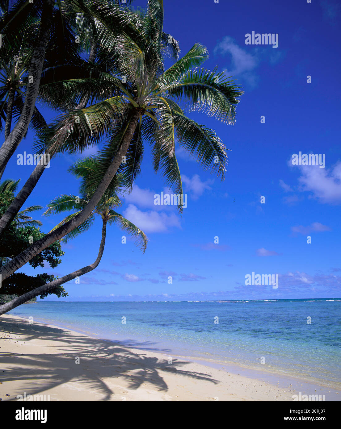 Kaaawa Windward Oahu Oahu Hawaii USA Stock Photo - Alamy