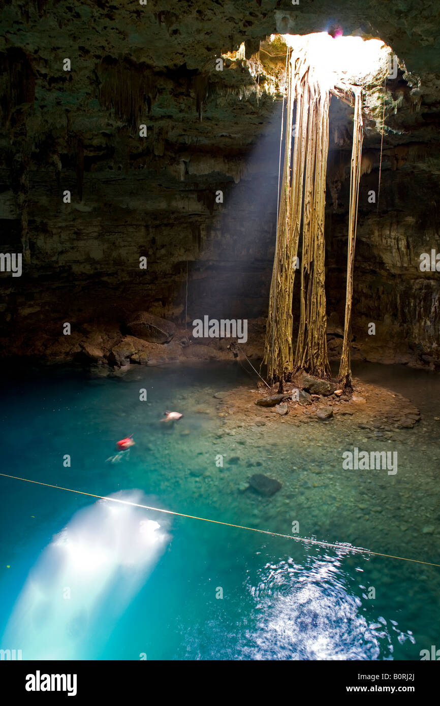 Cenote Samula with many stalagmites and people swimming while the roots ...