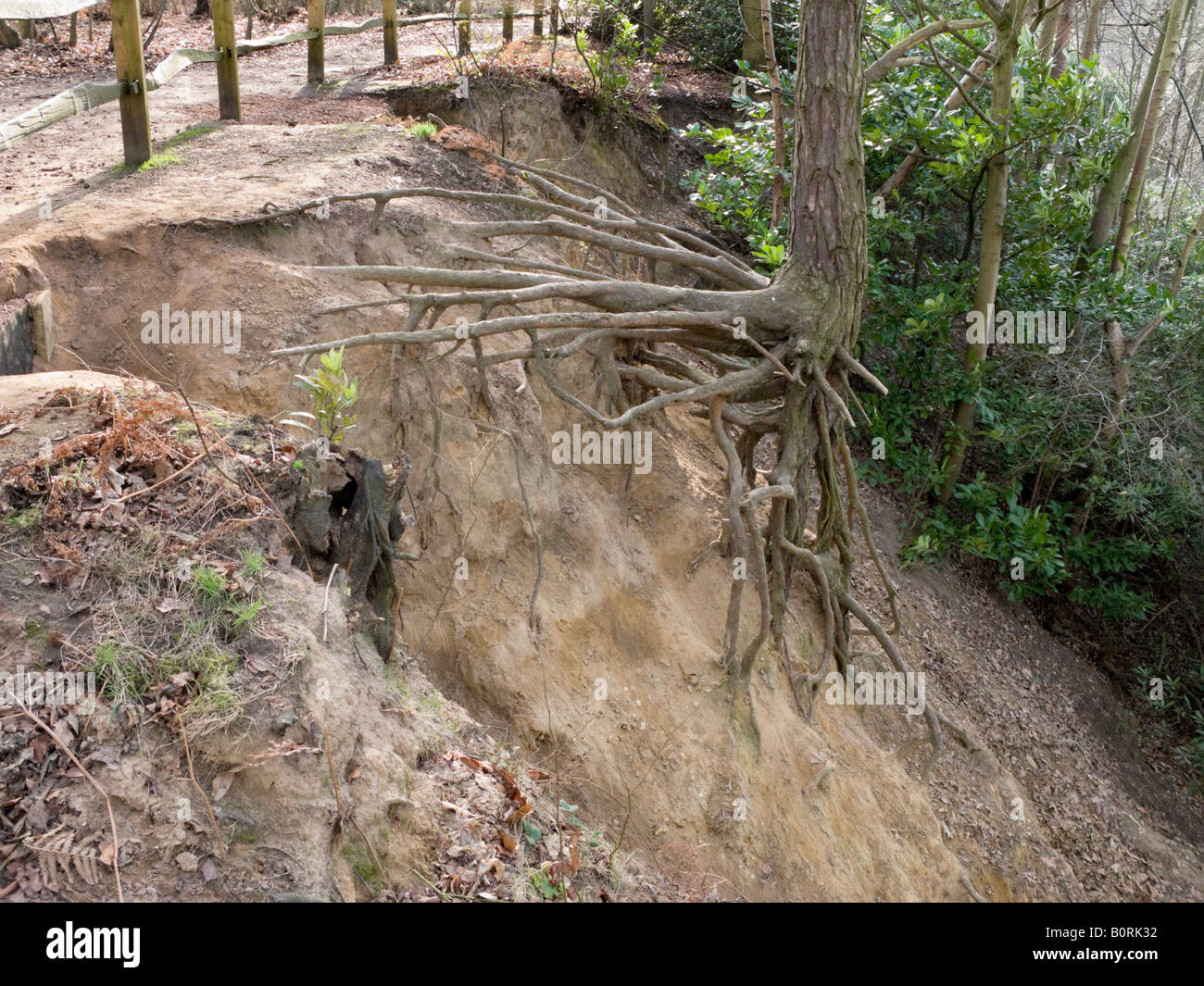 Hand gripping railing hi-res stock photography and images - Alamy